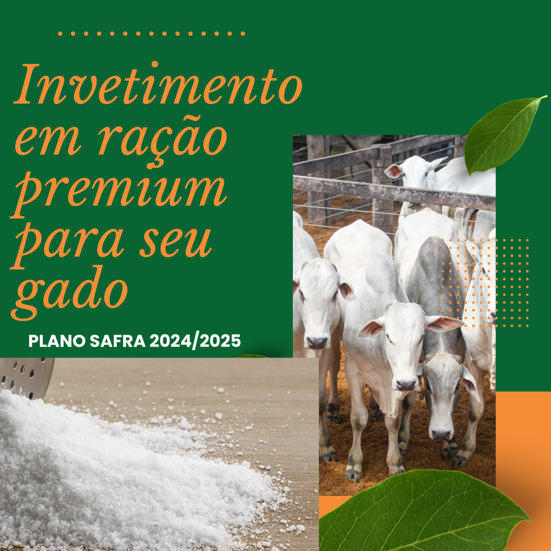 Investimento em Ração Premium para Gado - Manejobovino